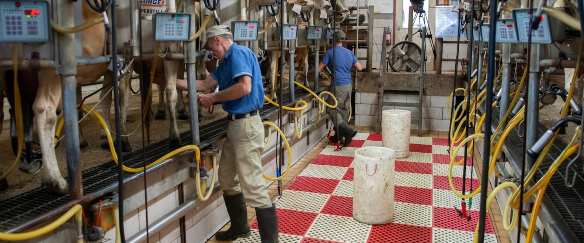 Exploring The Rich History Of Dairy Industries In Eau Claire, Wisconsin